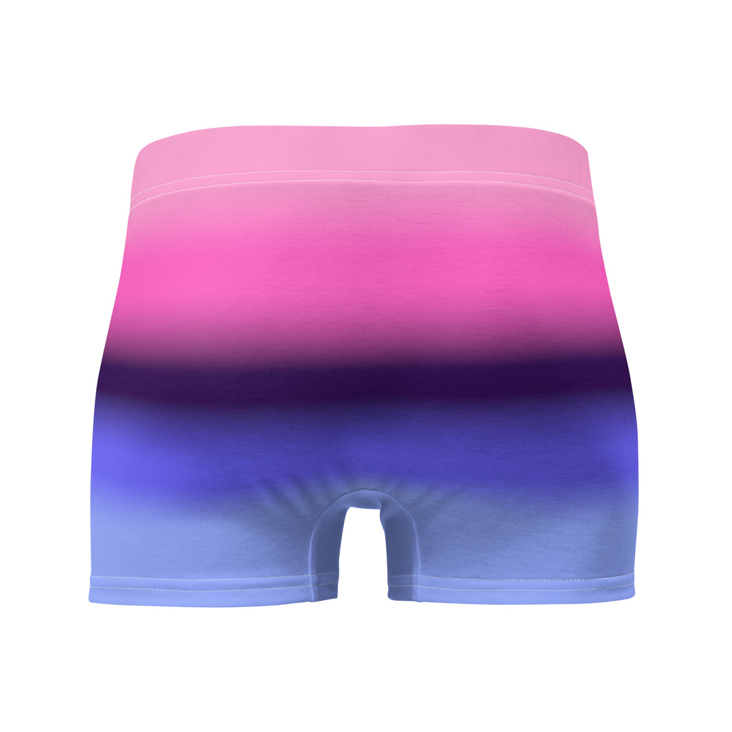 LGBTQ Pride Underwear | Men's & Women's Rainbow Underwear - Pegasus ...