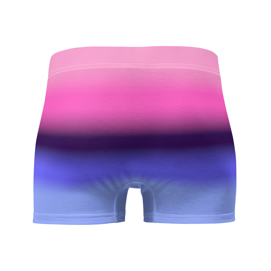 LGBTQ Pride Underwear | Men's & Women's Rainbow Underwear - Pegasus ...